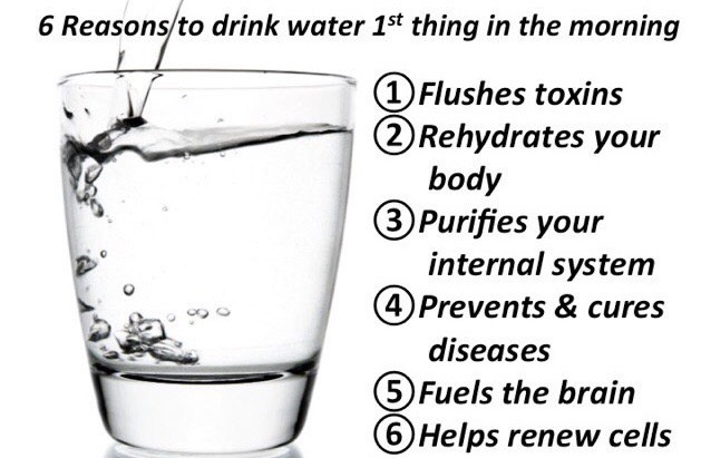 Morning Habits (or How I Became Marginally Less Useless Before 8 AM ...